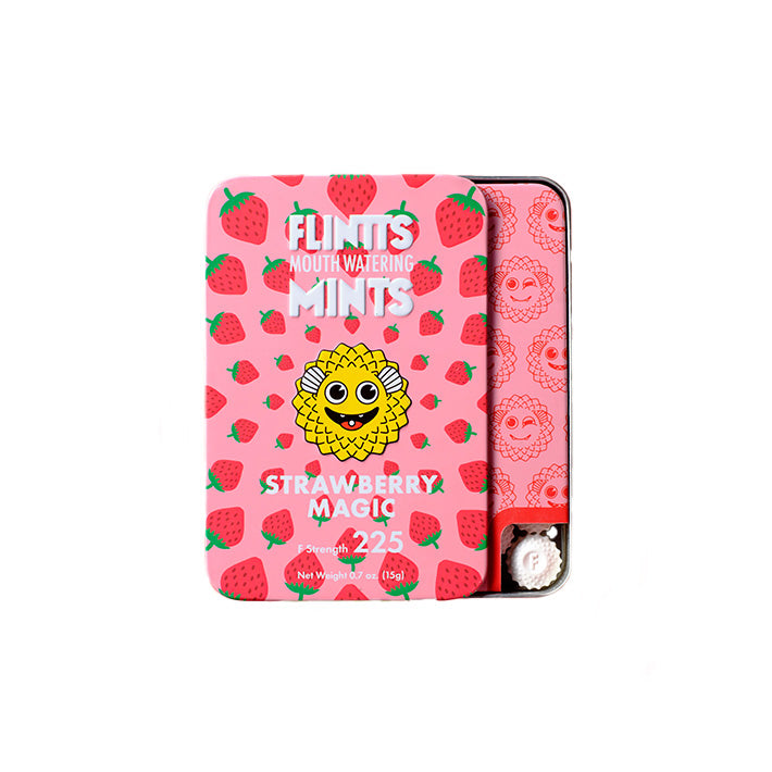 Flintts Mints Mouth Watering Mints – Lovers