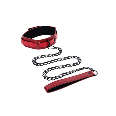 BDSM Collars and Leashes: Collars, Chokers, and Leashes for Sex – Lovers