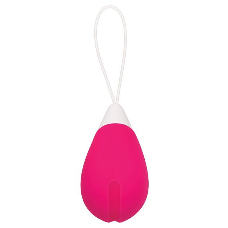 Remote Control Egg – loversstores.com